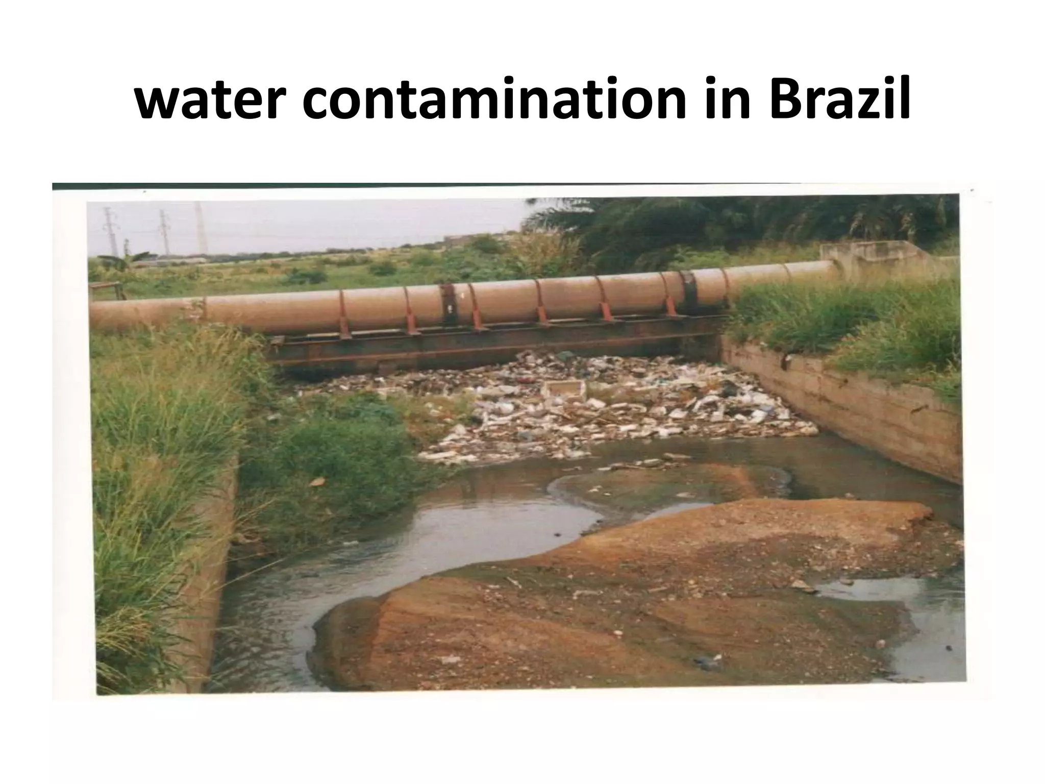 Brazil human environment interaction | PPTX