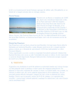 Brazilia | DOCX