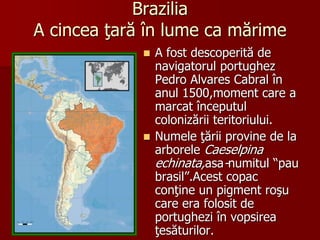 Braziliai | PPTX