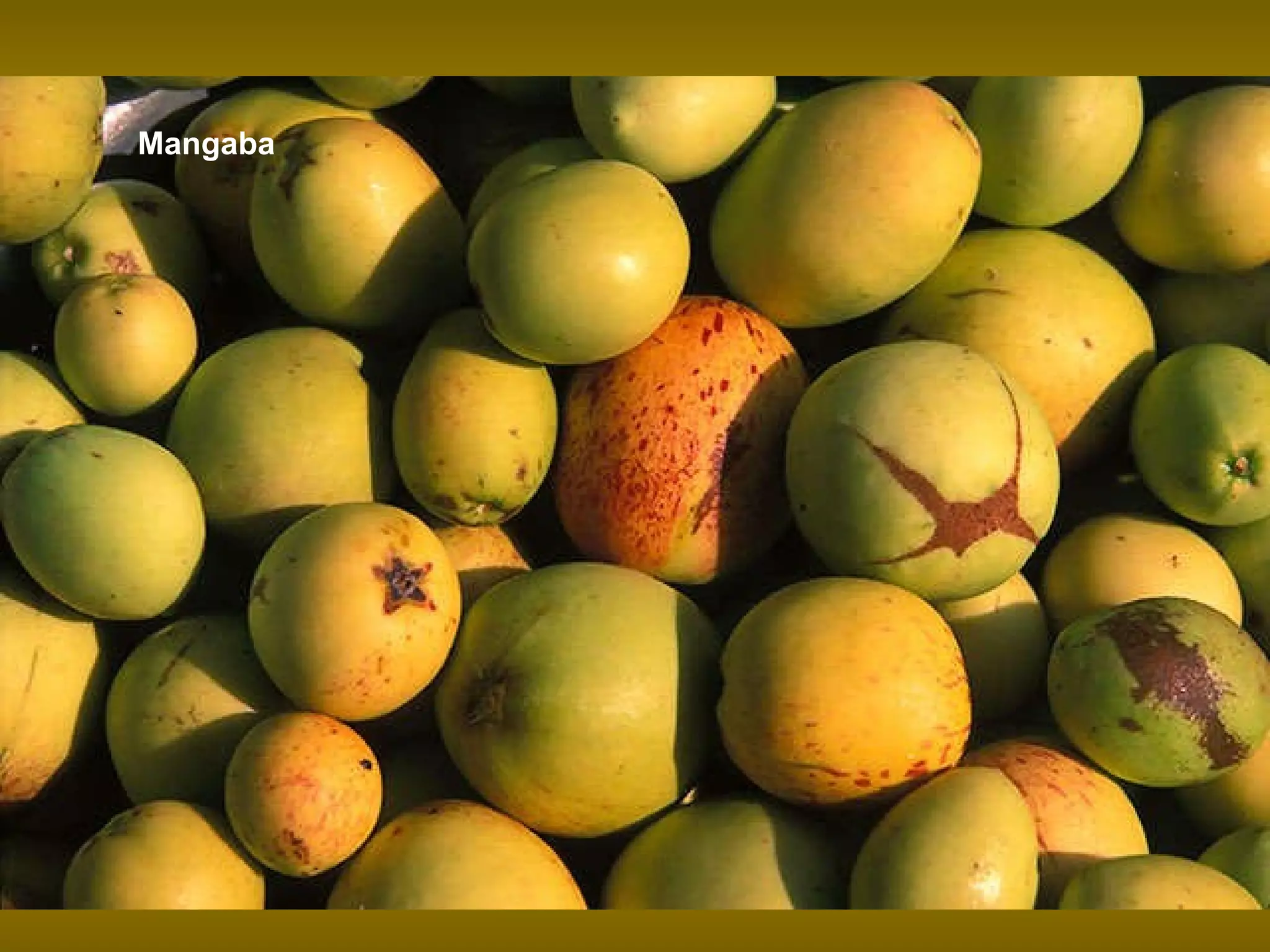 Brazilian Fruits | PPS