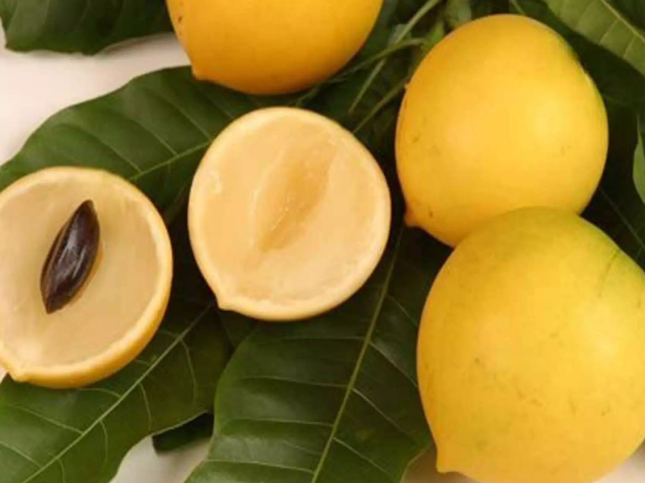 Brazilian fruits | PPT