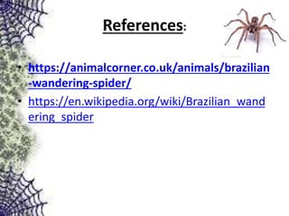 Brazilian wandering spiders. | PPTX