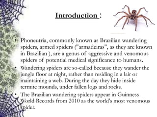 Brazilian wandering spiders. | PPTX