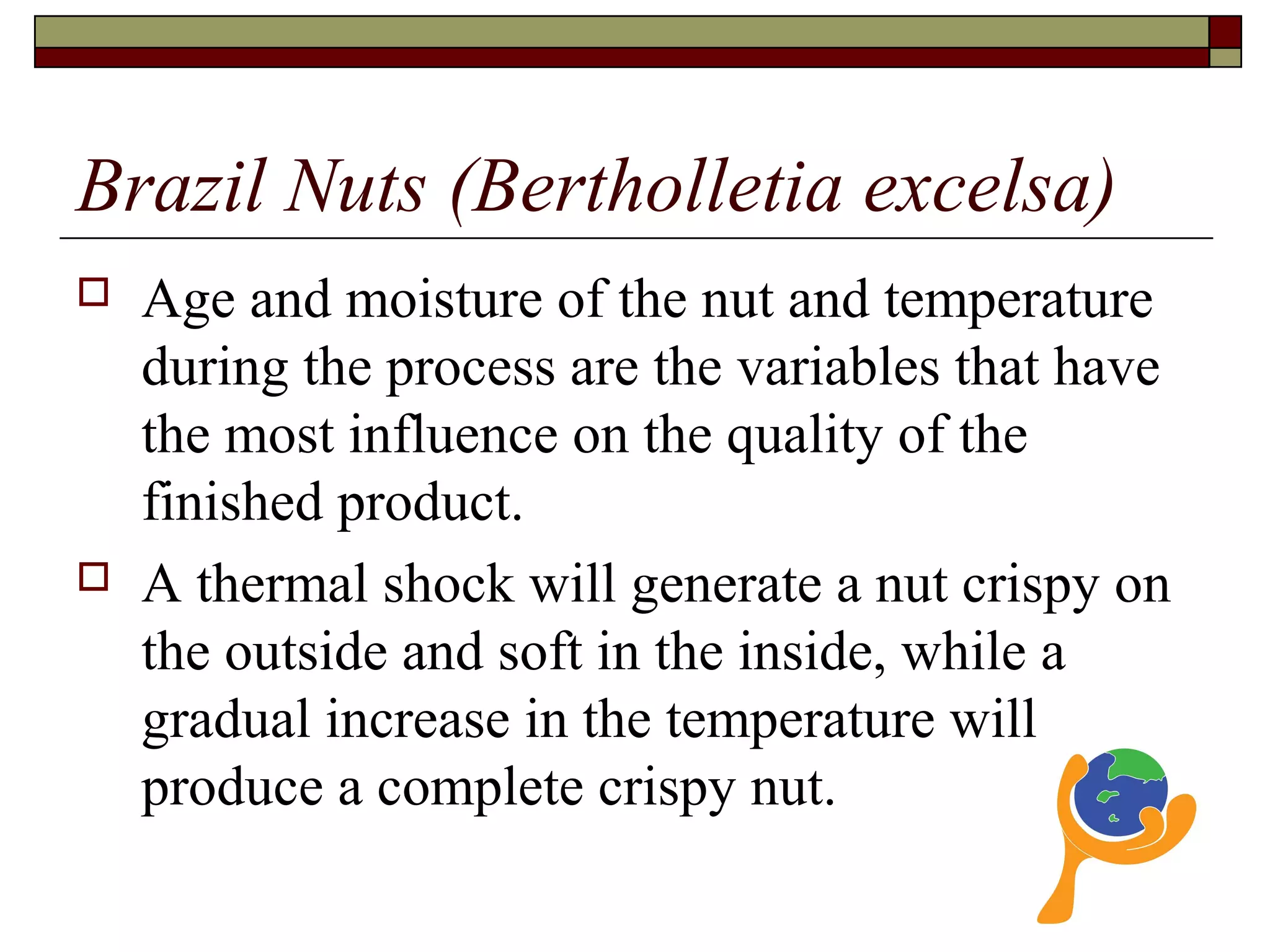 Brazil Nuts - Possible Defects | PPT