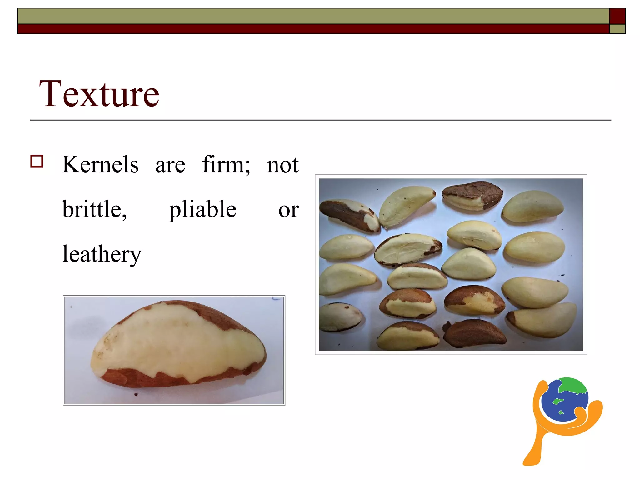 Brazil Nuts - Possible Defects | PPT