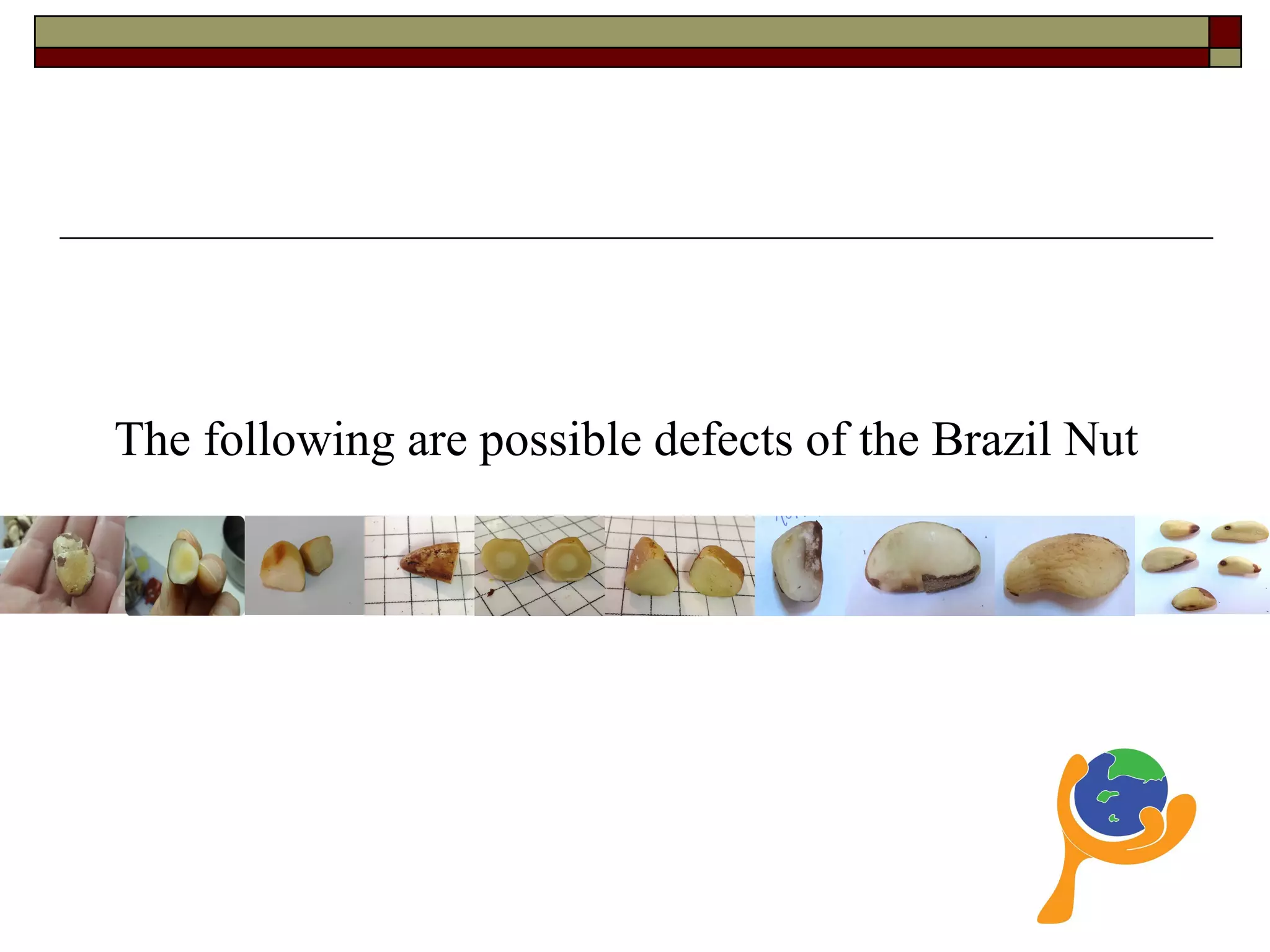 Brazil Nuts - Possible Defects | PPT
