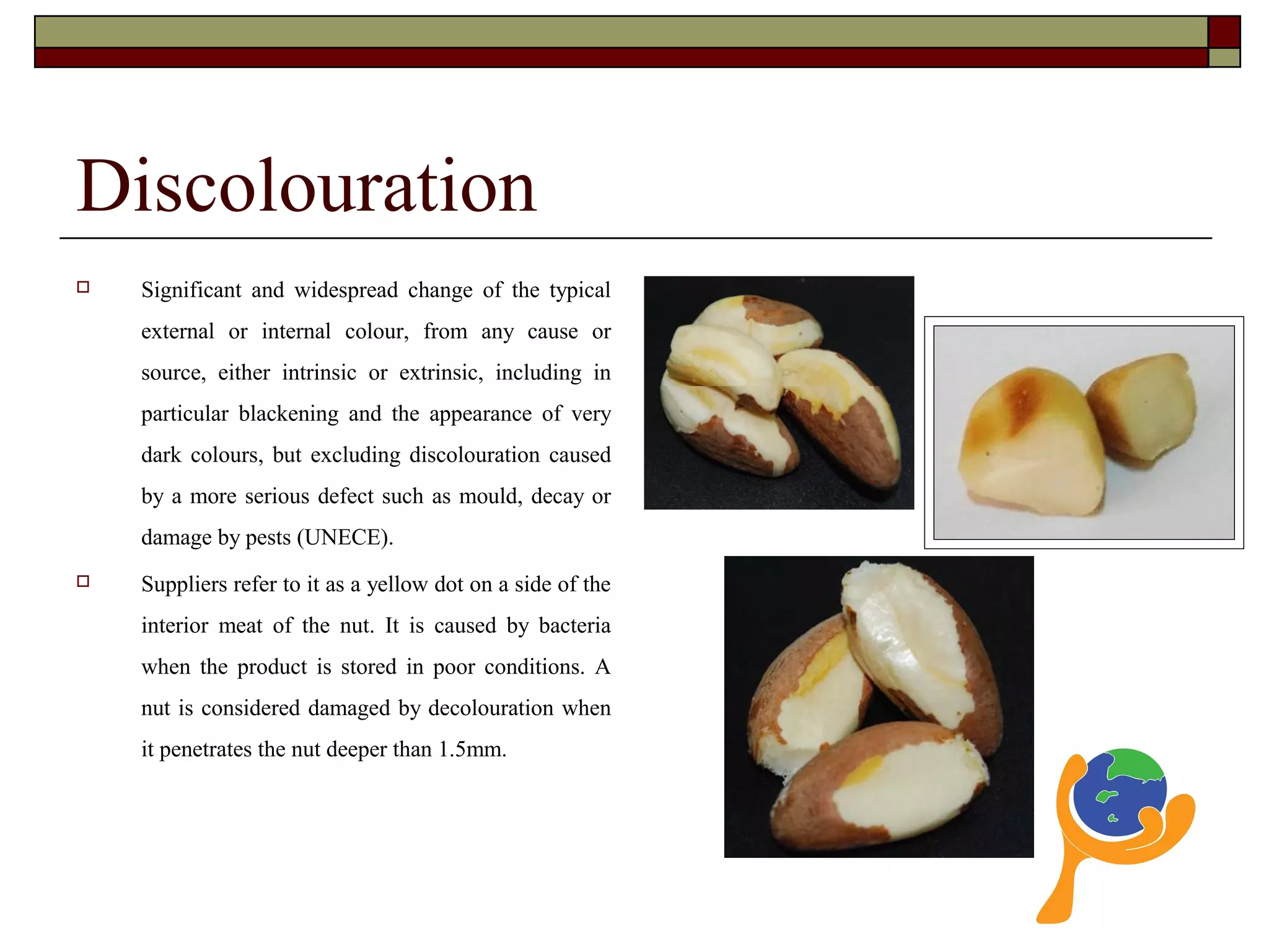 Brazil Nuts - Possible Defects | PPT