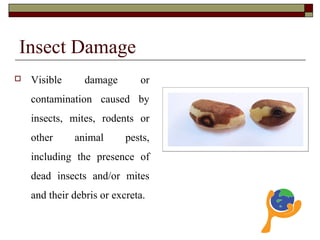 Brazil Nuts - Possible Defects | PPT