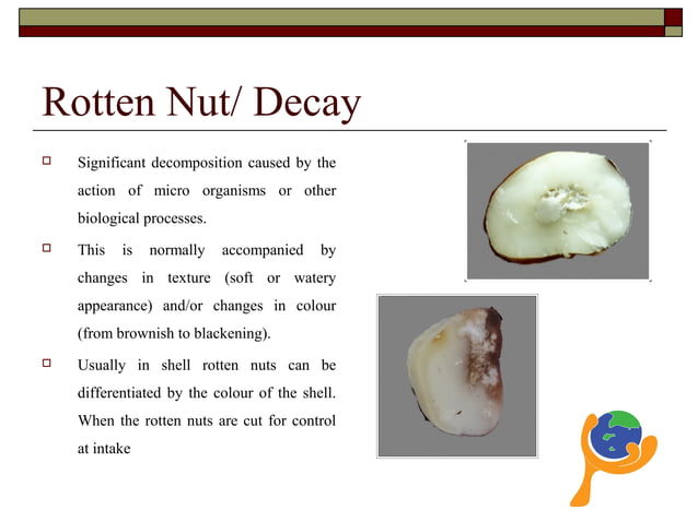 Brazil Nuts - Possible Defects | PPT