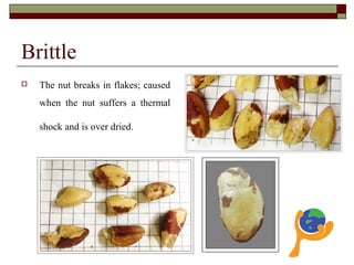 Brazil Nuts - Possible Defects | PPT