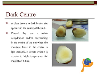 Brazil Nuts - Possible Defects | PPT