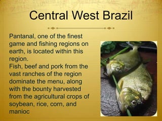 Brazil pp (2) | PPTX | South America Travel | Travel Locations