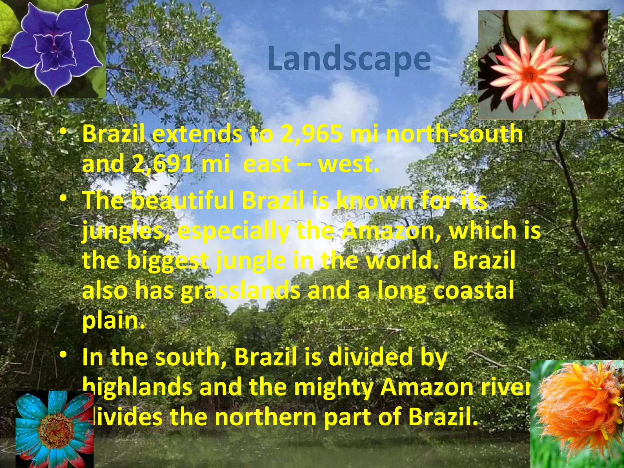 Brazil presentation 1 | PPT