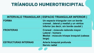 Intervalo Triangular