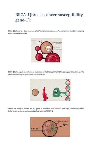 Brca 1 (breast cancer susceptibility gene-1) | PDF