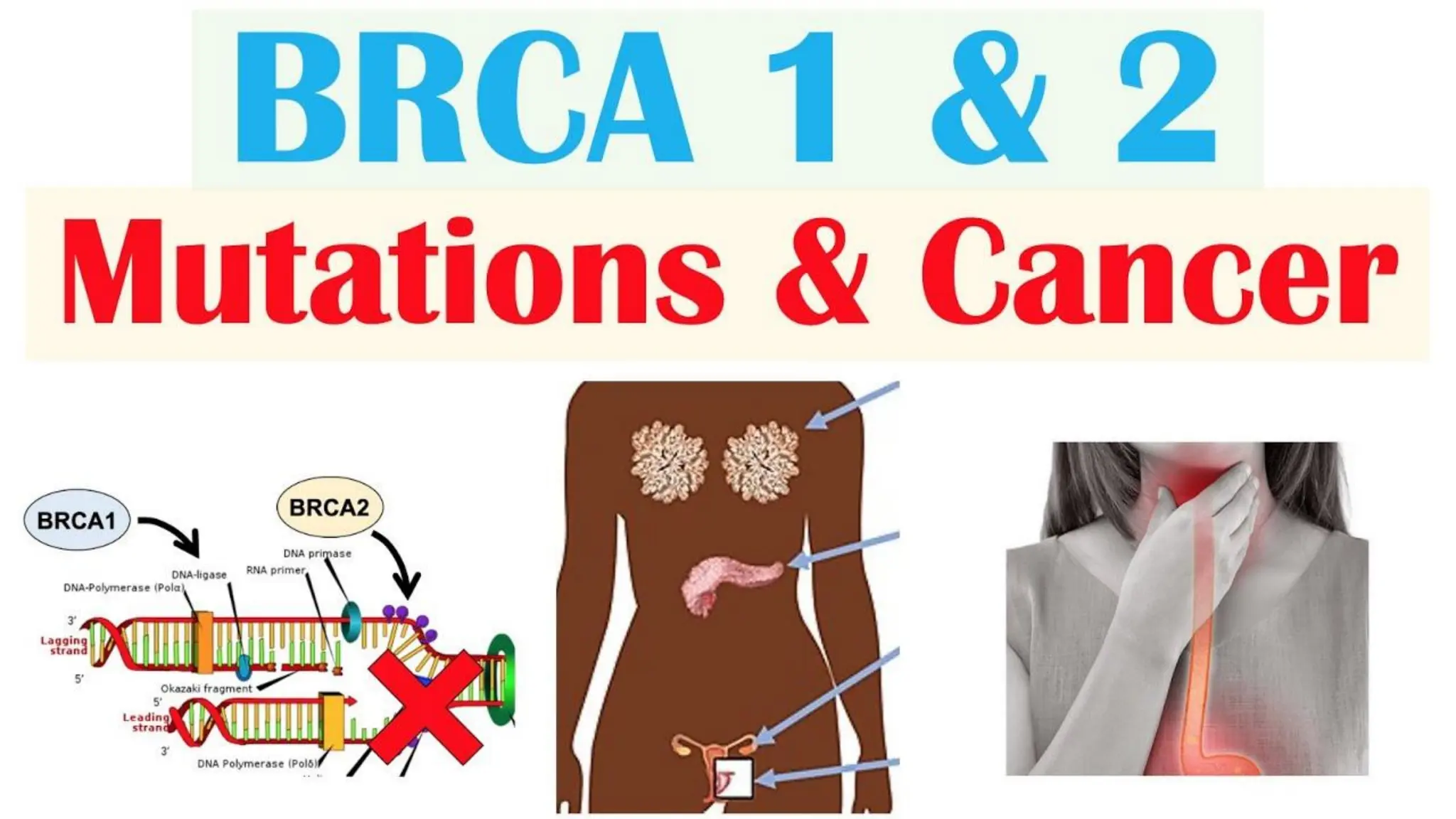 BRCA 1 & BRCA 2 Cancer Testing | Atulaya | PPT