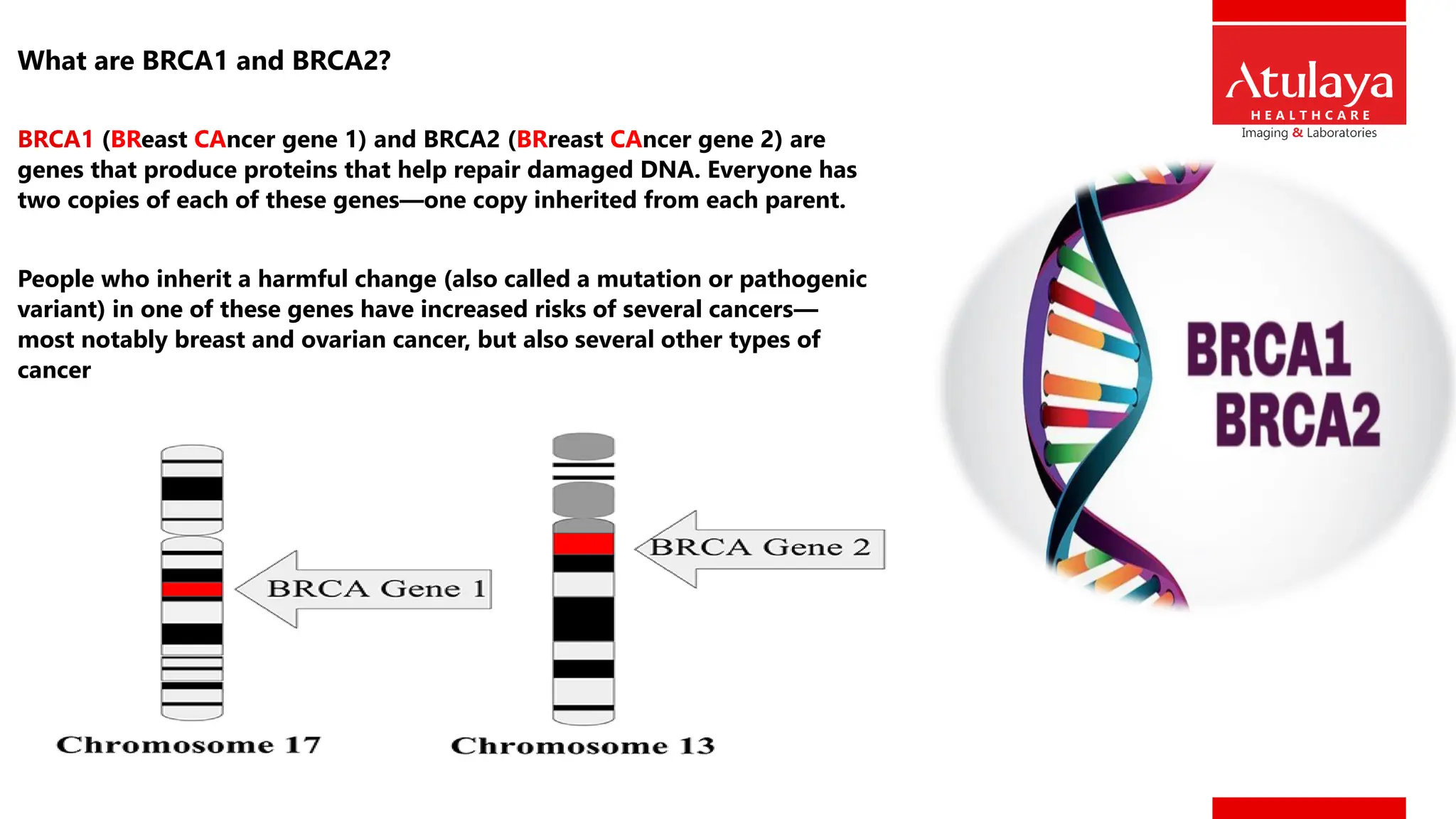 BRCA 1 & BRCA 2 Cancer Testing | Atulaya | PPT