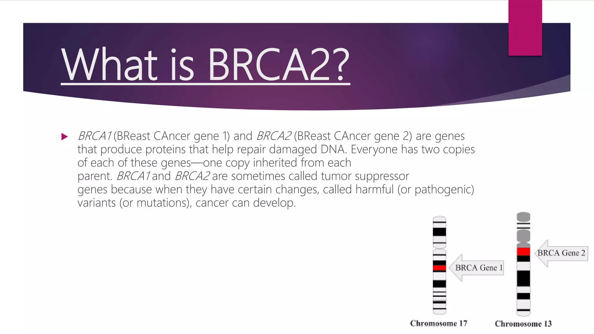 Brca2 mutation and their influence to cancer | PPTX