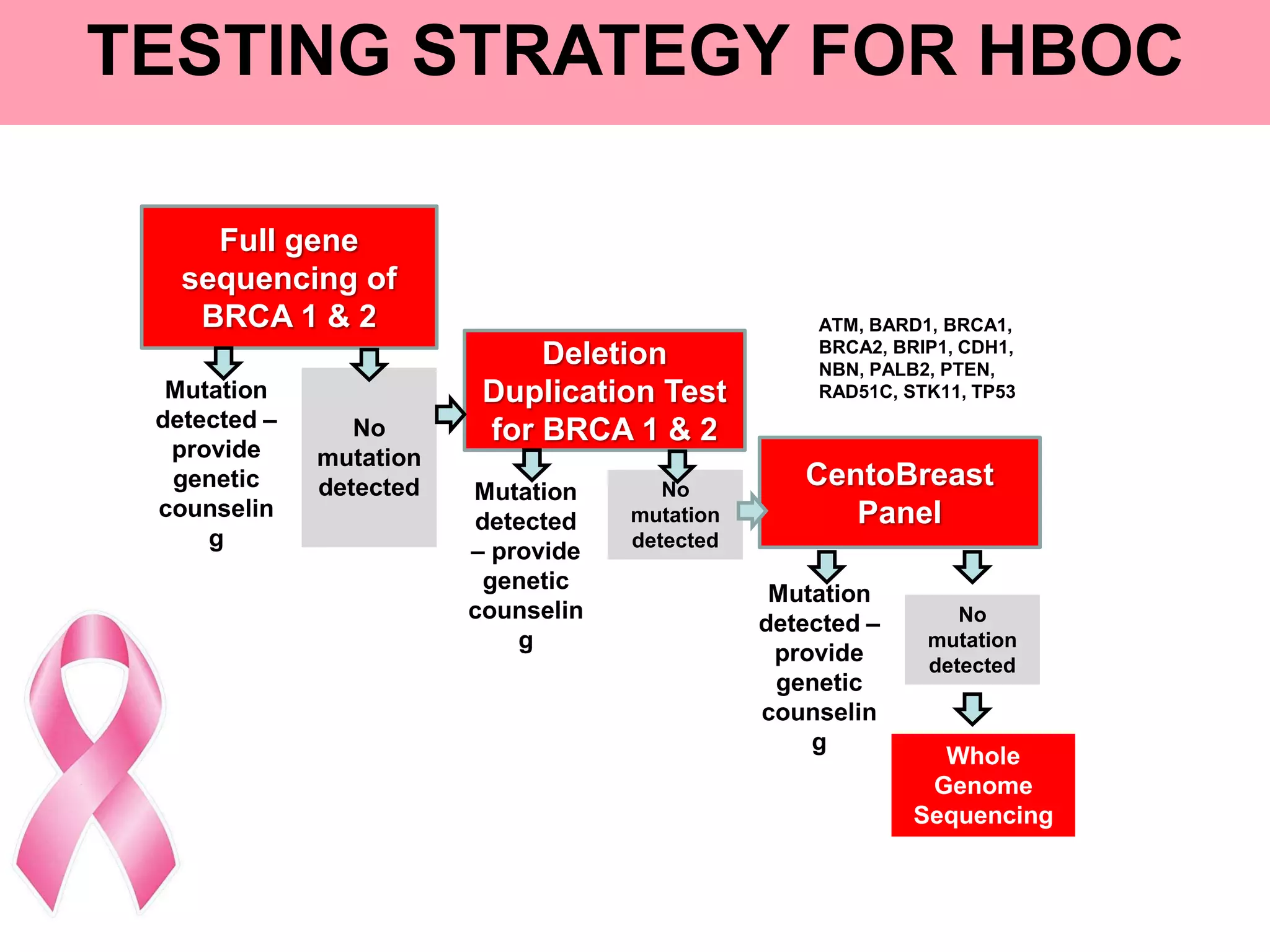 BRCA – Importance in Hereditary Breast & Ovarian Cancer | PPTX