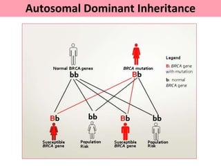BRCA – Importance in Hereditary Breast & Ovarian Cancer | PPTX