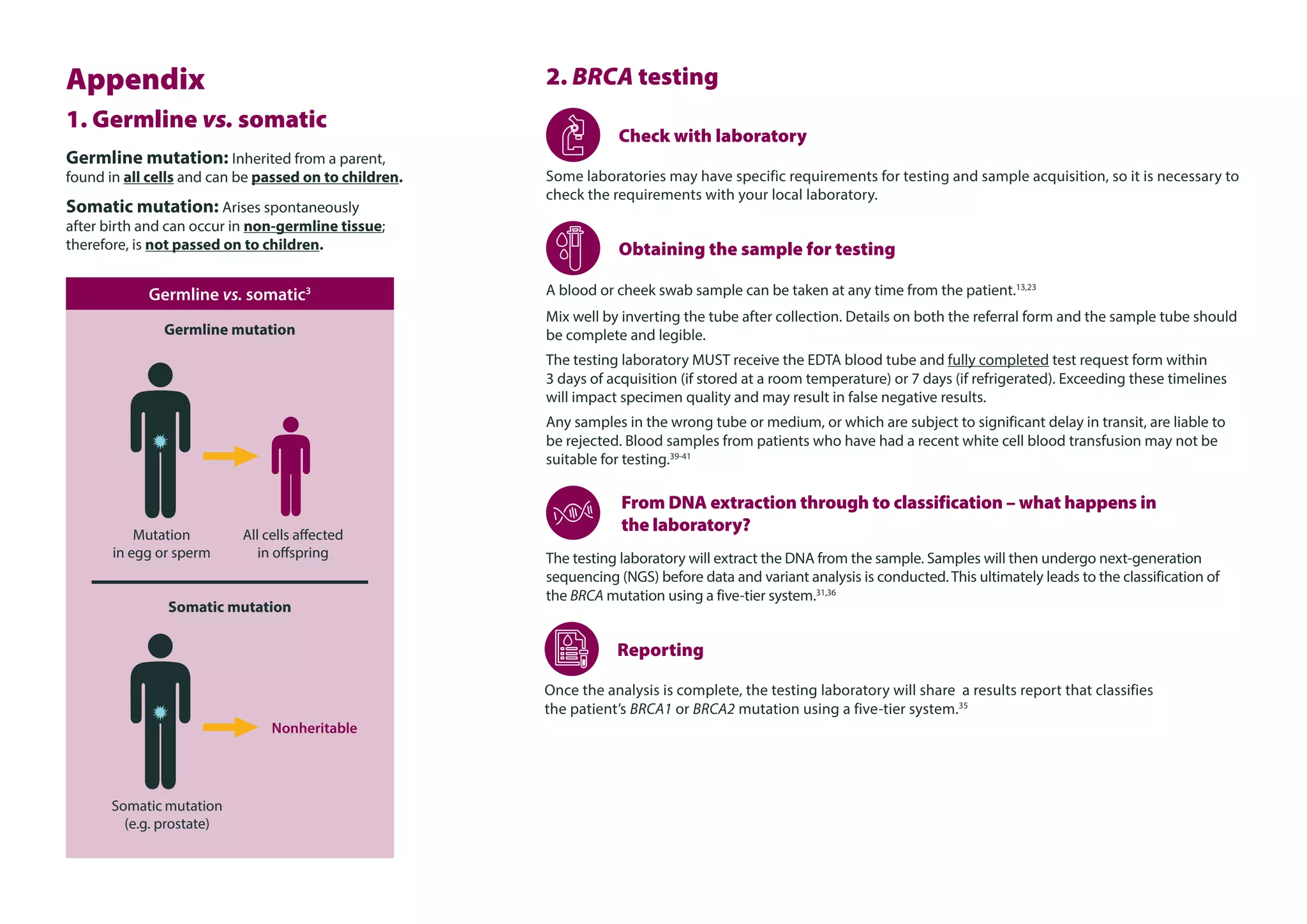 brca mutation.pdf