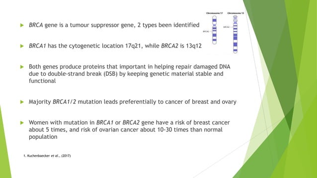BRCA mutation in ovarian cancer.pptx