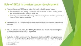 BRCA mutation in ovarian cancer.pptx