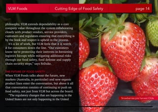 BRCA VLM Foods | PDF