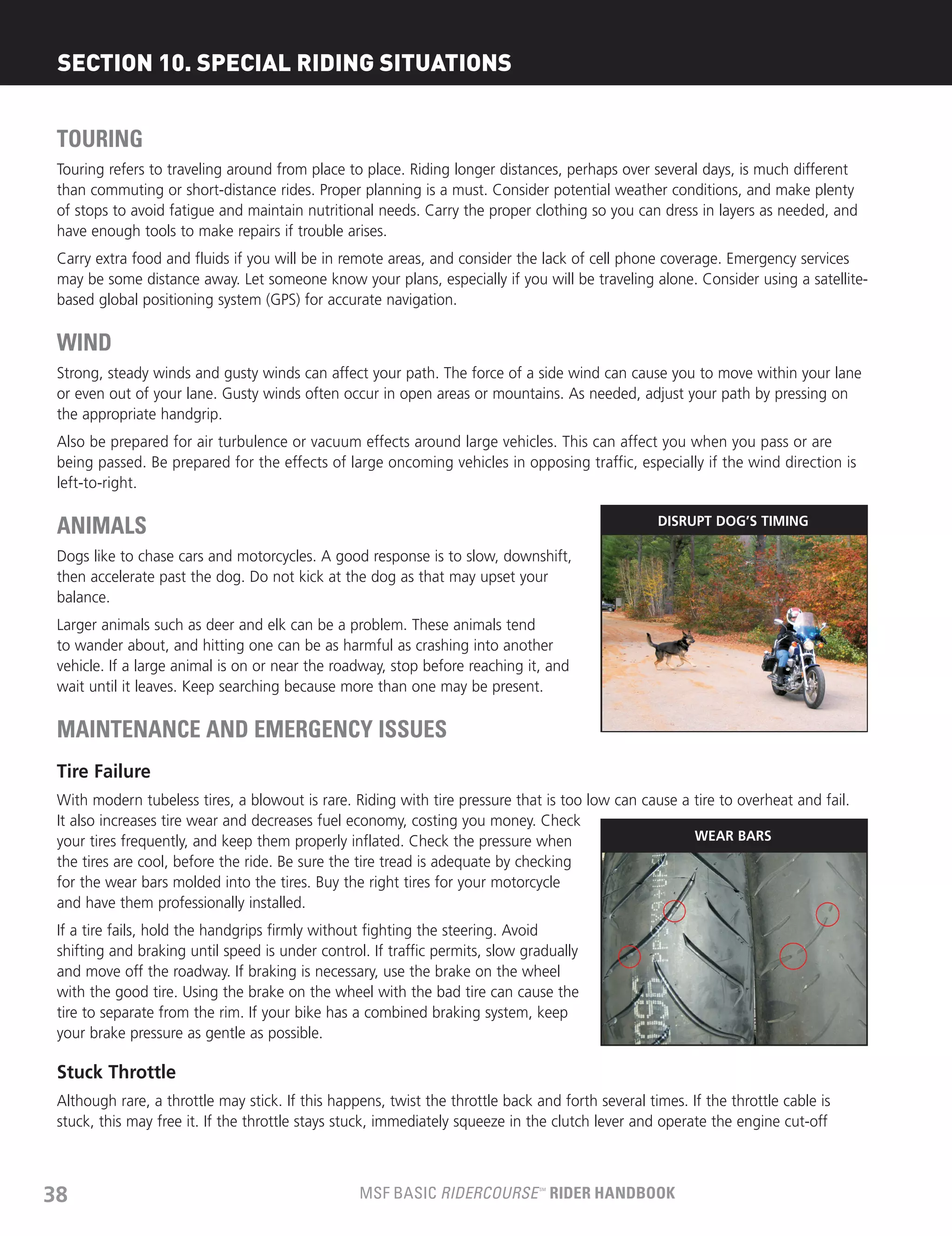 MSF Brc handbook | PDF