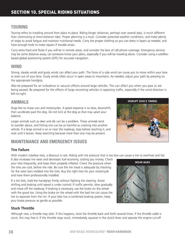 MSF Brc handbook | PDF