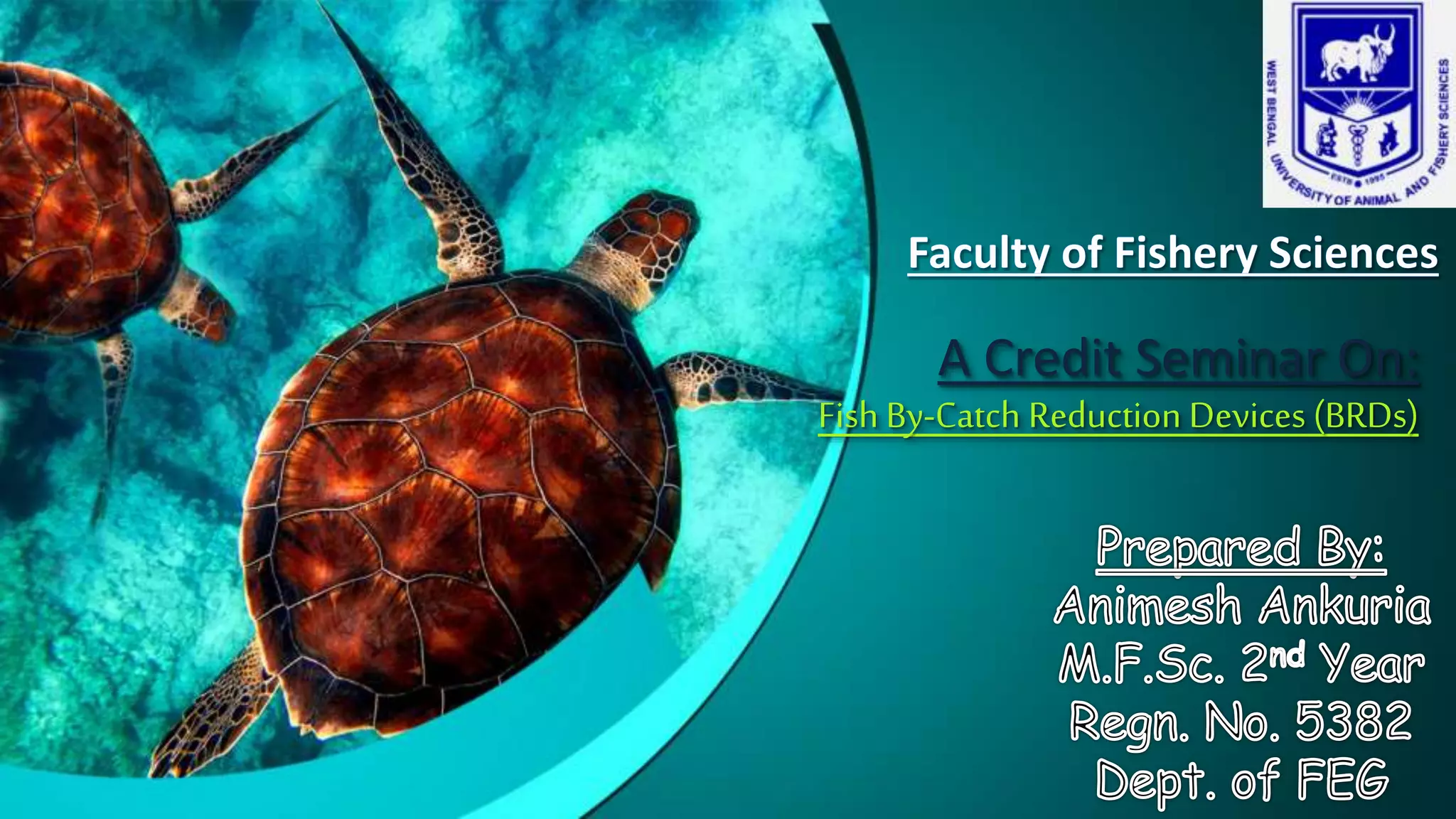 Fish Bycatch Reduction Devices | PPTX