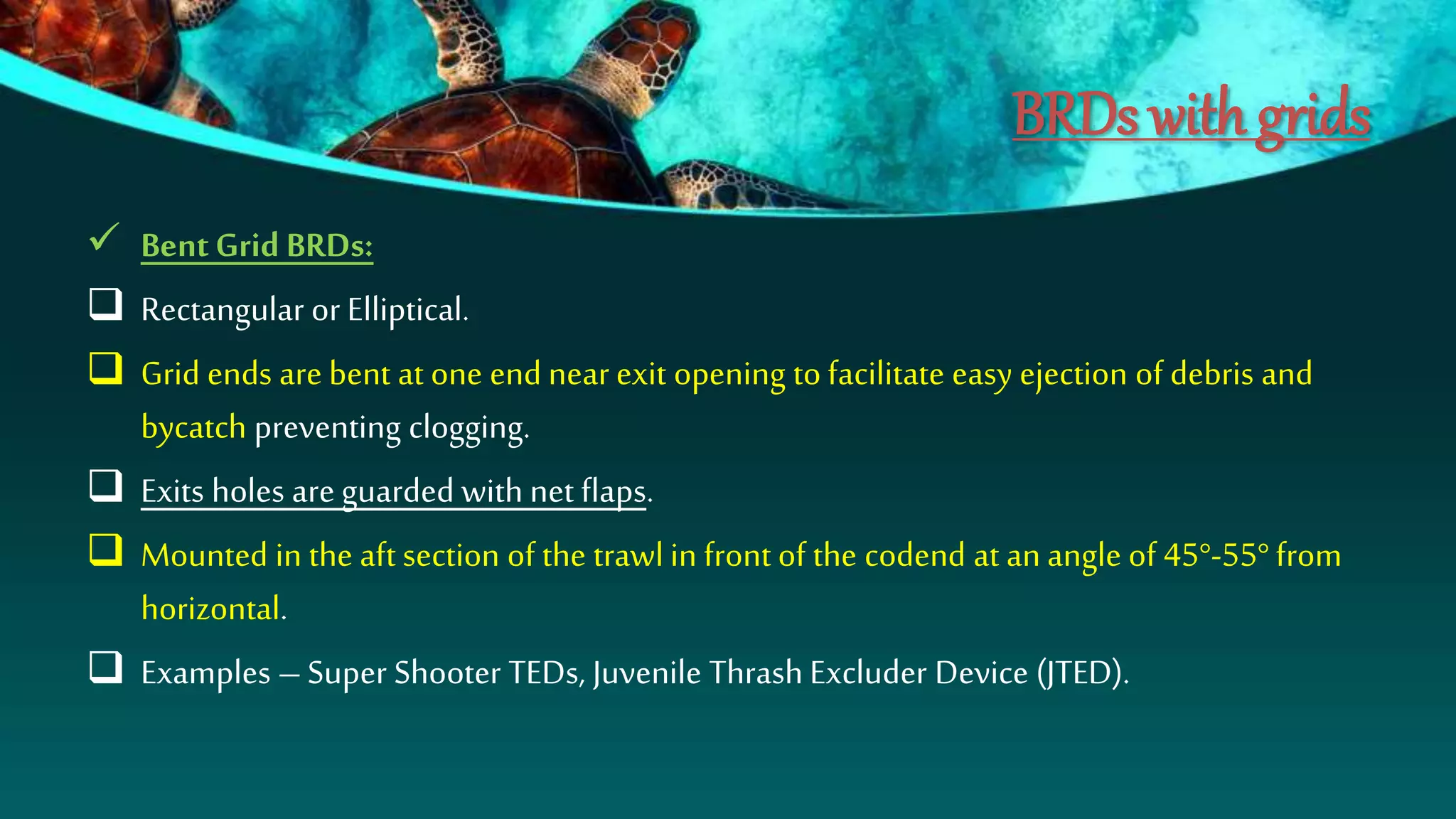 Fish Bycatch Reduction Devices | PPTX