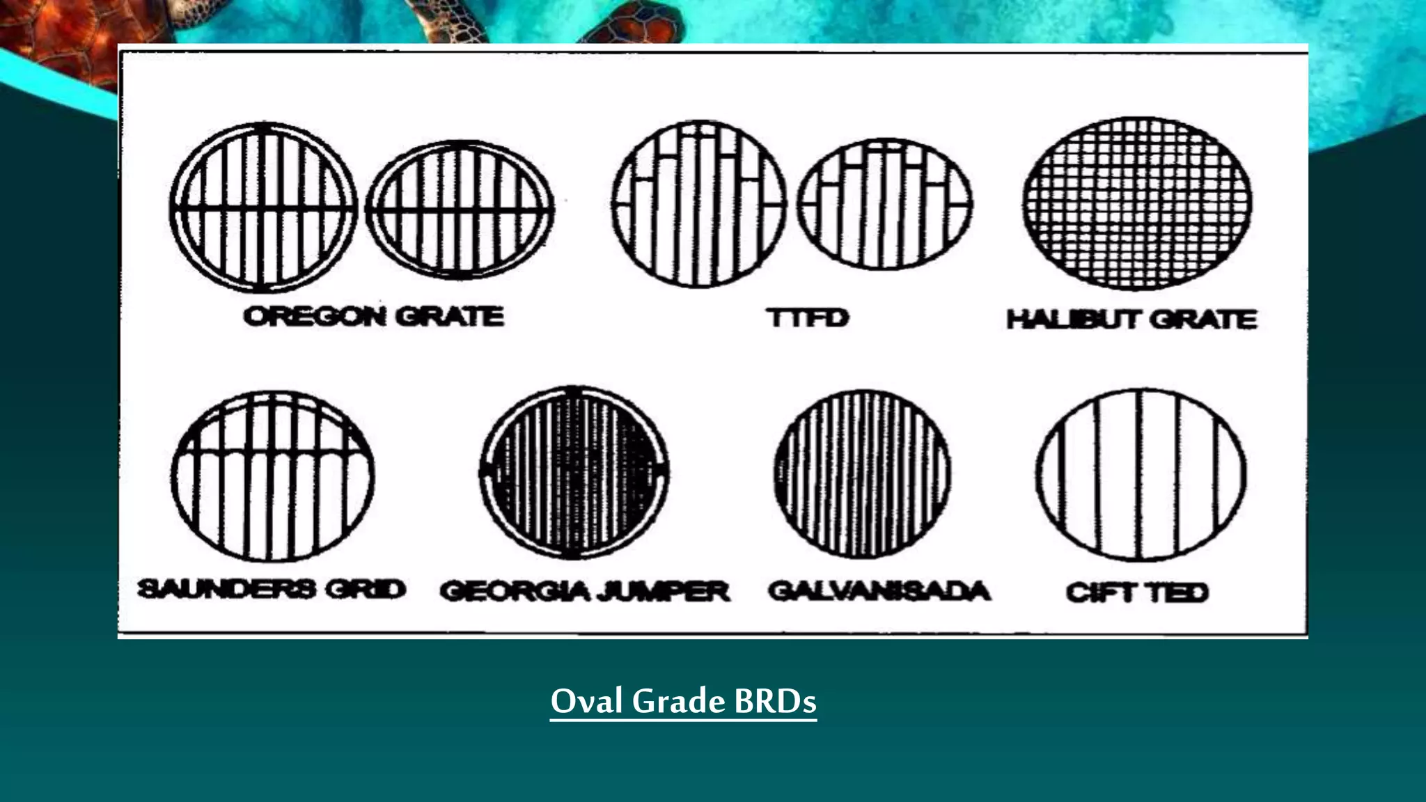 Fish Bycatch Reduction Devices | PPTX