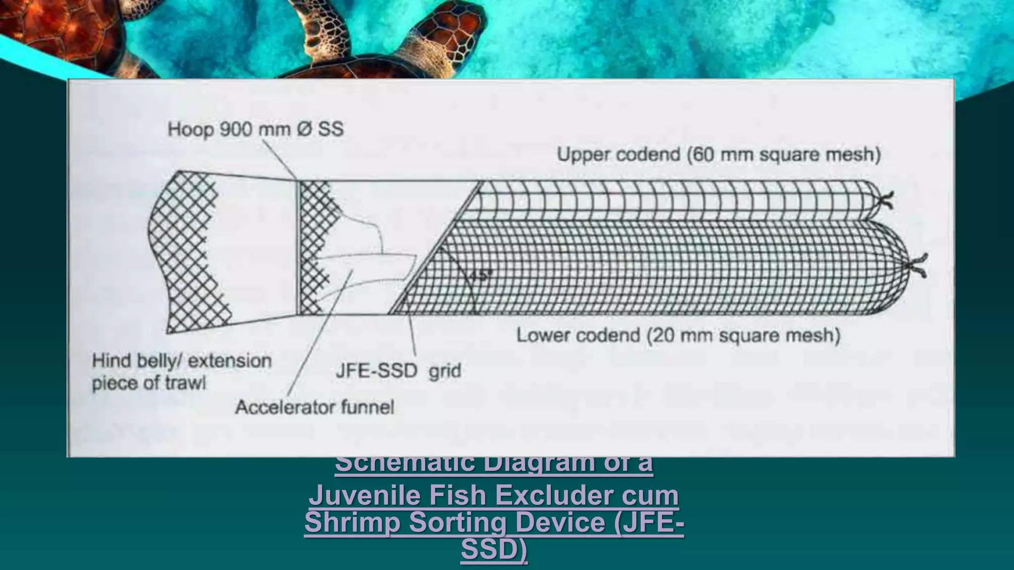 Fish Bycatch Reduction Devices | PPTX