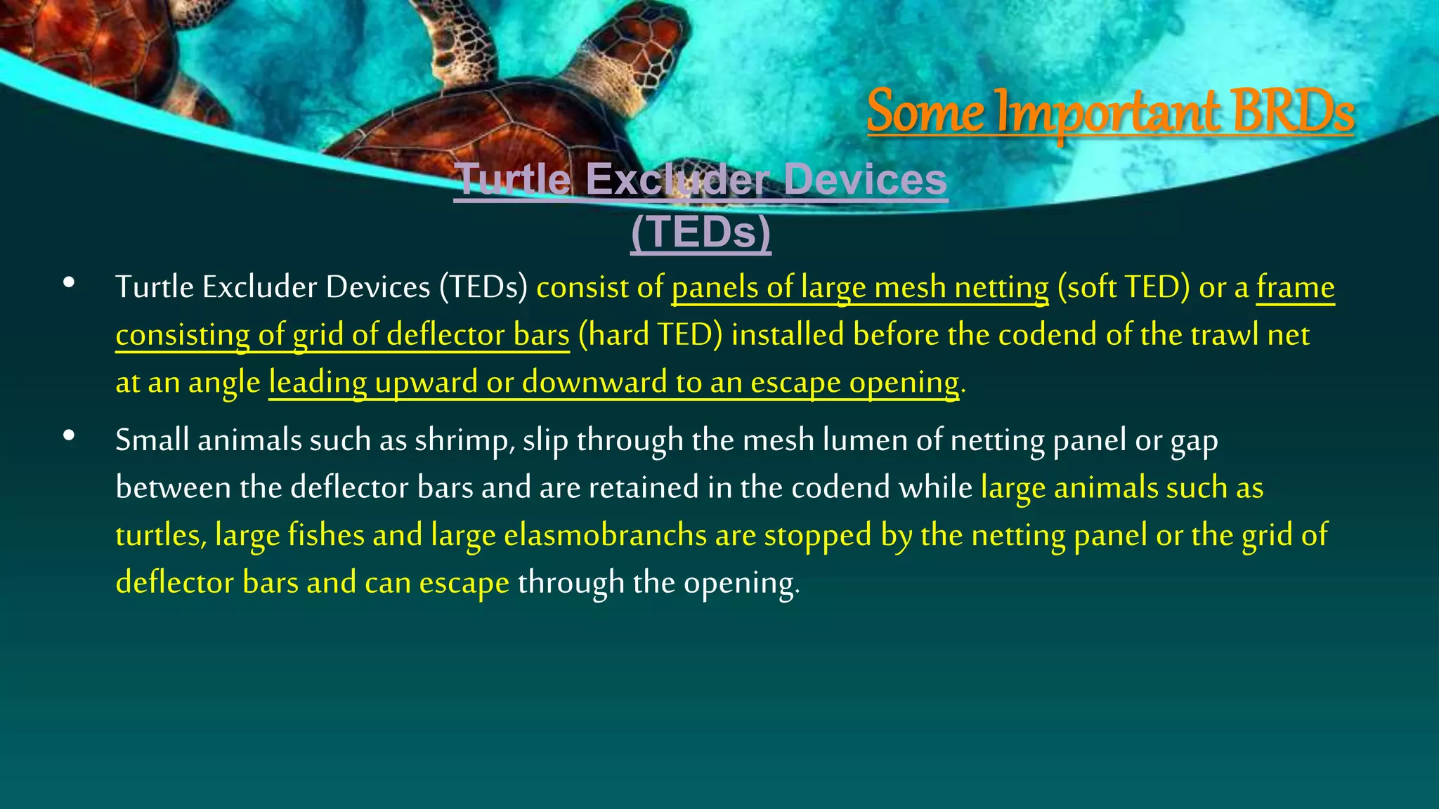 Fish Bycatch Reduction Devices | PPTX