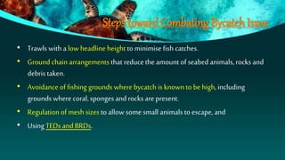 Fish Bycatch Reduction Devices | PPTX