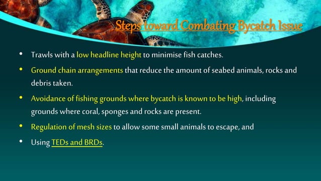 Fish Bycatch Reduction Devices | PPTX | Zoos & Aquariums | Attractions
