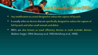 Fish Bycatch Reduction Devices | PPTX