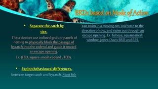 Fish Bycatch Reduction Devices | PPTX