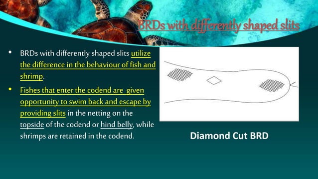 Fish Bycatch Reduction Devices | PPTX | Zoos & Aquariums | Attractions