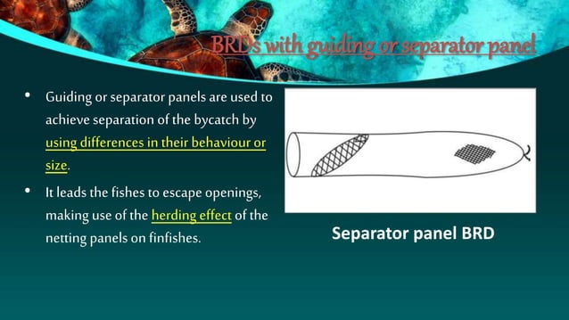 Fish Bycatch Reduction Devices | PPTX | Zoos & Aquariums | Attractions