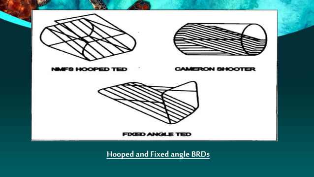 Fish Bycatch Reduction Devices | PPTX | Zoos & Aquariums | Attractions