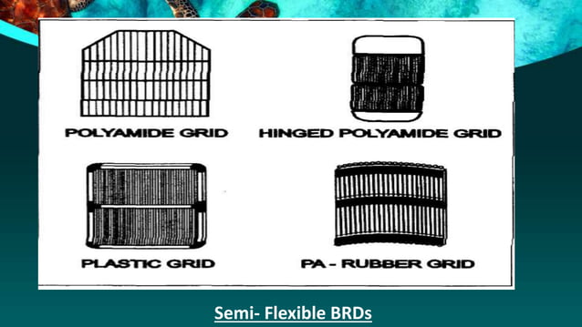 Fish Bycatch Reduction Devices | PPTX | Zoos & Aquariums | Attractions