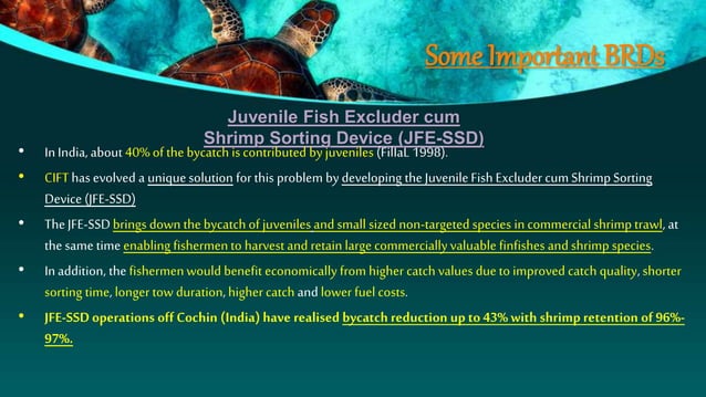 Fish Bycatch Reduction Devices | PPTX | Zoos & Aquariums | Attractions