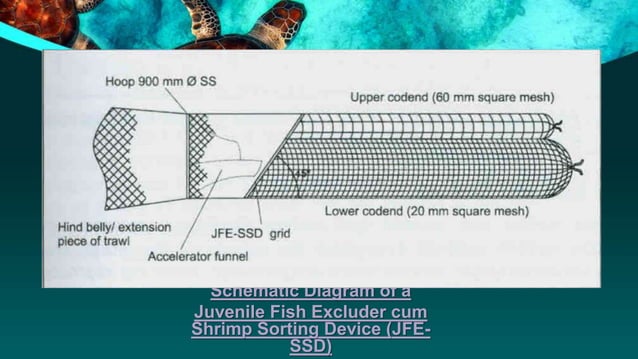 Fish Bycatch Reduction Devices | PPTX | Zoos & Aquariums | Attractions