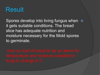 Bread - Reframing | PPT