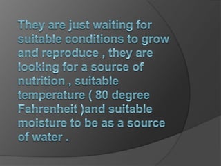 Bread - Reframing | PPT