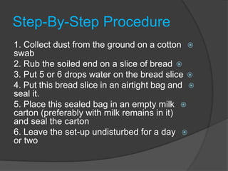 Bread - Reframing | PPT