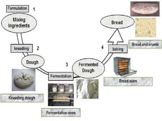 Bread and baked products | PDF