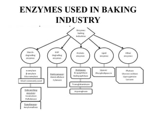 Bread and baked products | PDF